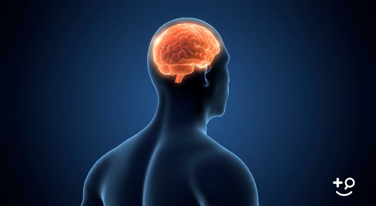 Stroke - Surgical Treatment - Doctorpedia Doctor-Reviewed Video