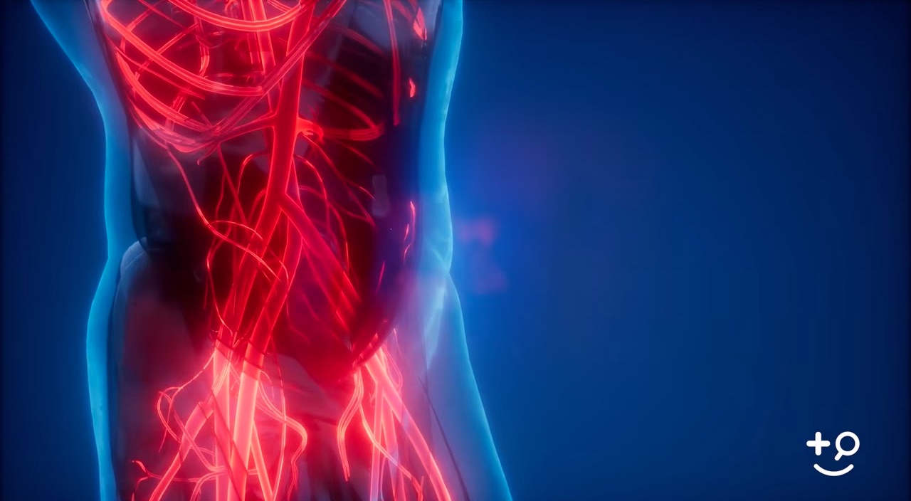 Vasculitis - Types - Doctorpedia Doctor-Reviewed Video