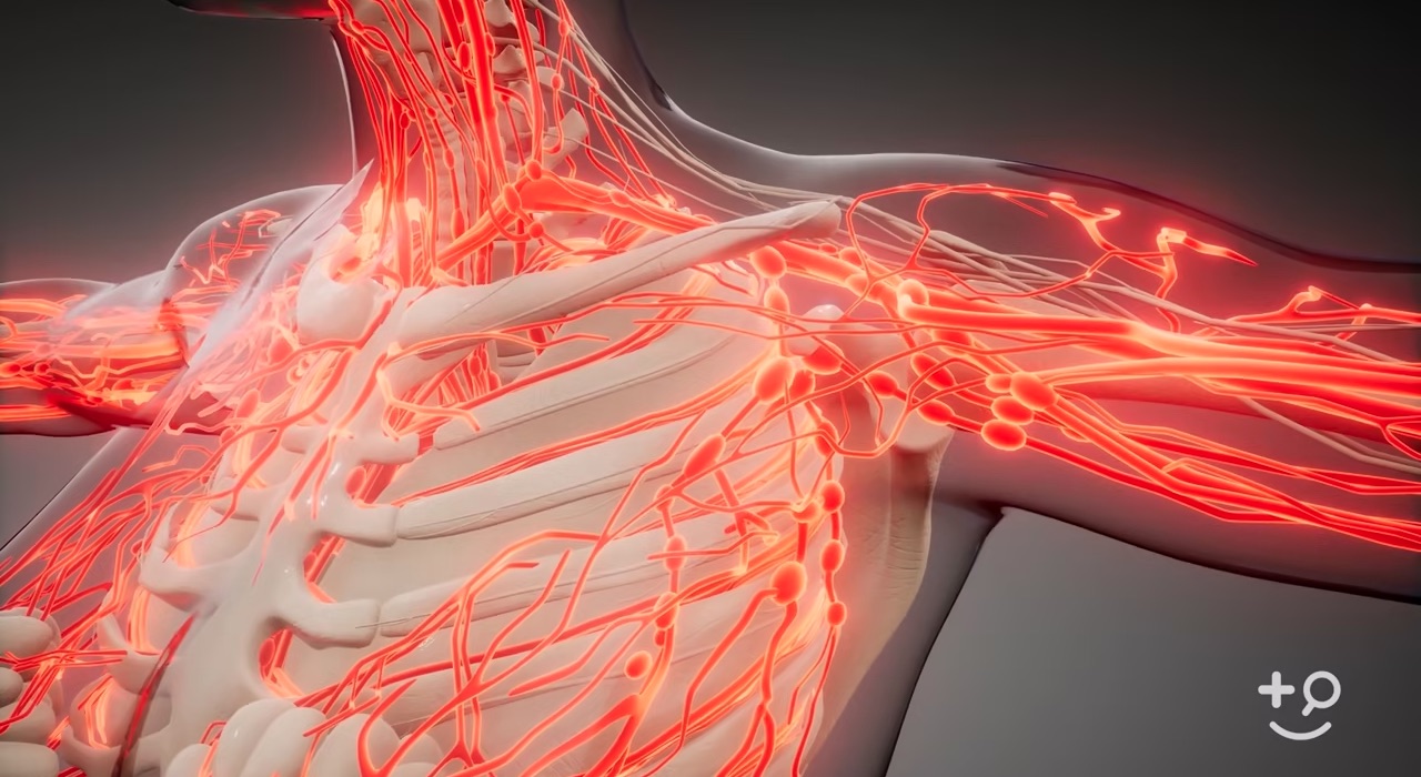 Vasculitis - Surgery - Doctorpedia Doctor-Reviewed Video